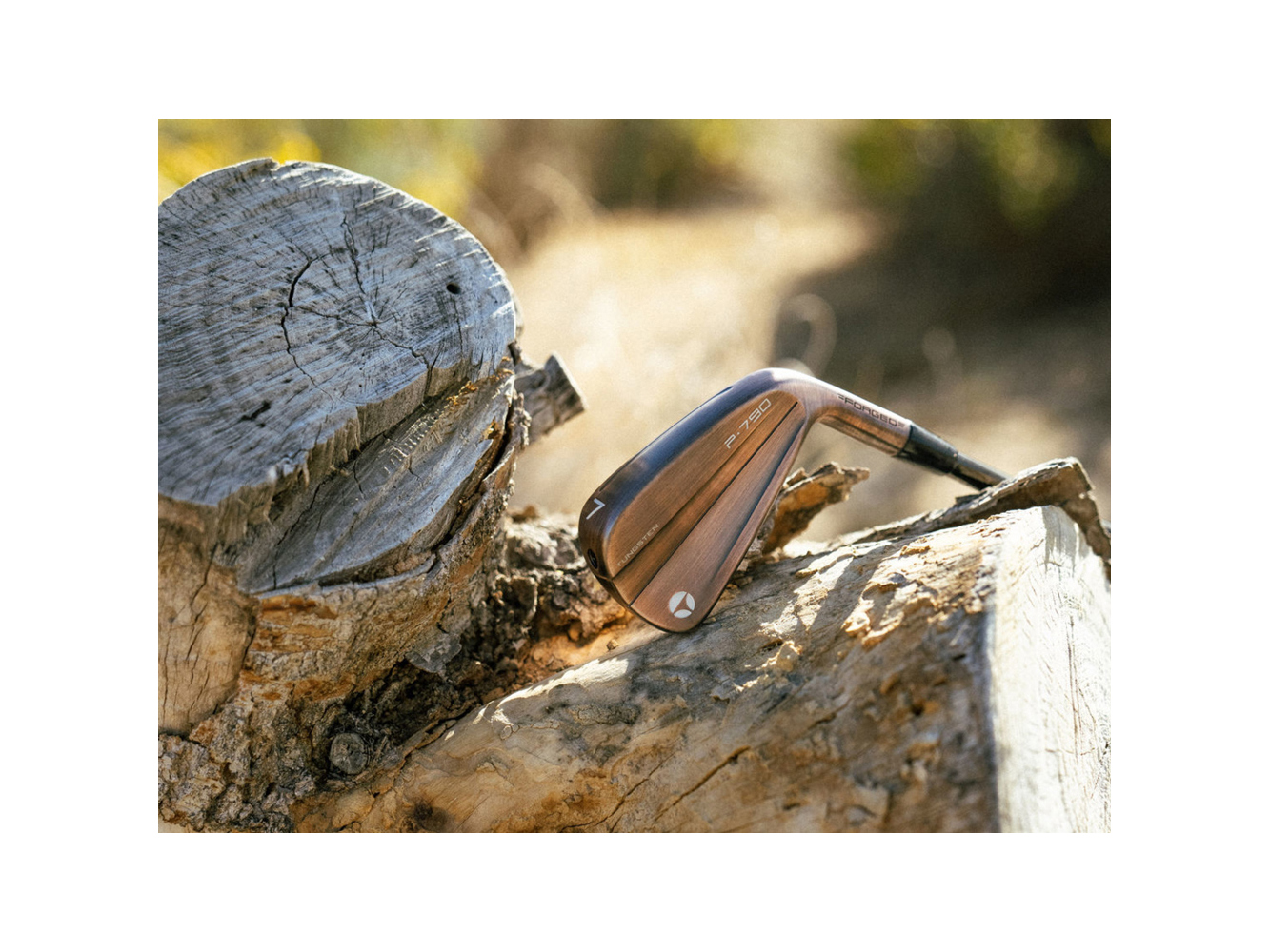 Limited Edition - TaylorMade P790 Aged Copper Irons (Steel Shaft)