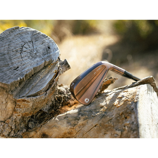 Limited Edition - TaylorMade P790 Aged Copper Irons (Steel Shaft)